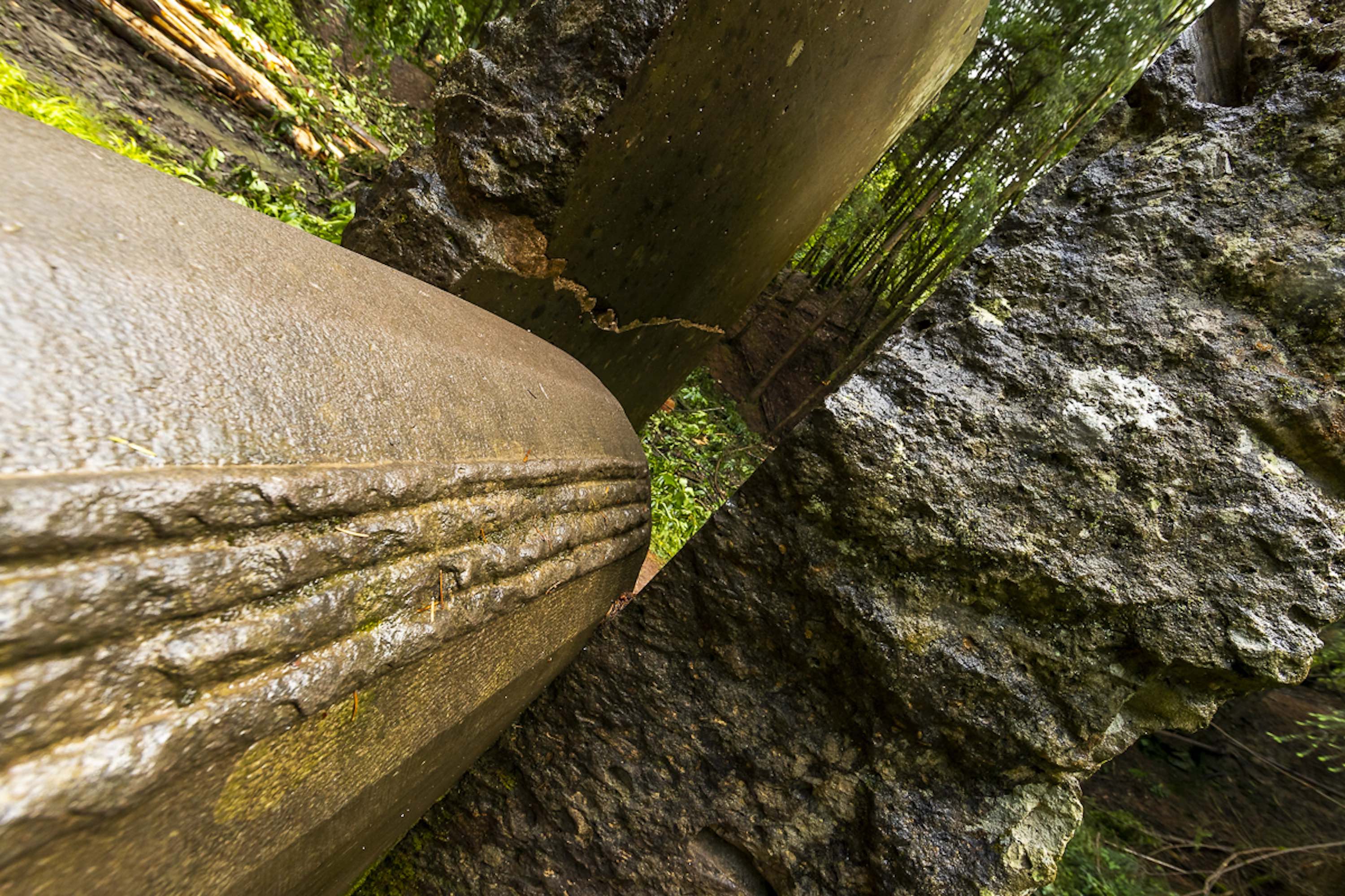 Heart of the Stone - The Forest Of Dean Sculpture Trust