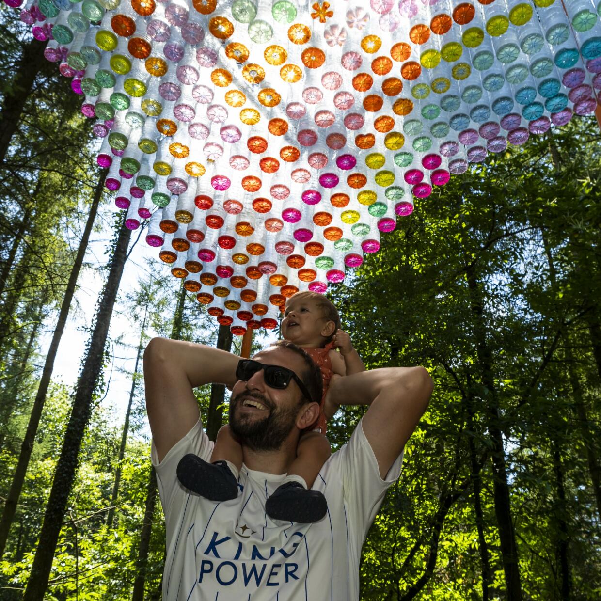 Plastic Pavilion - The Forest Of Dean Sculpture Trust