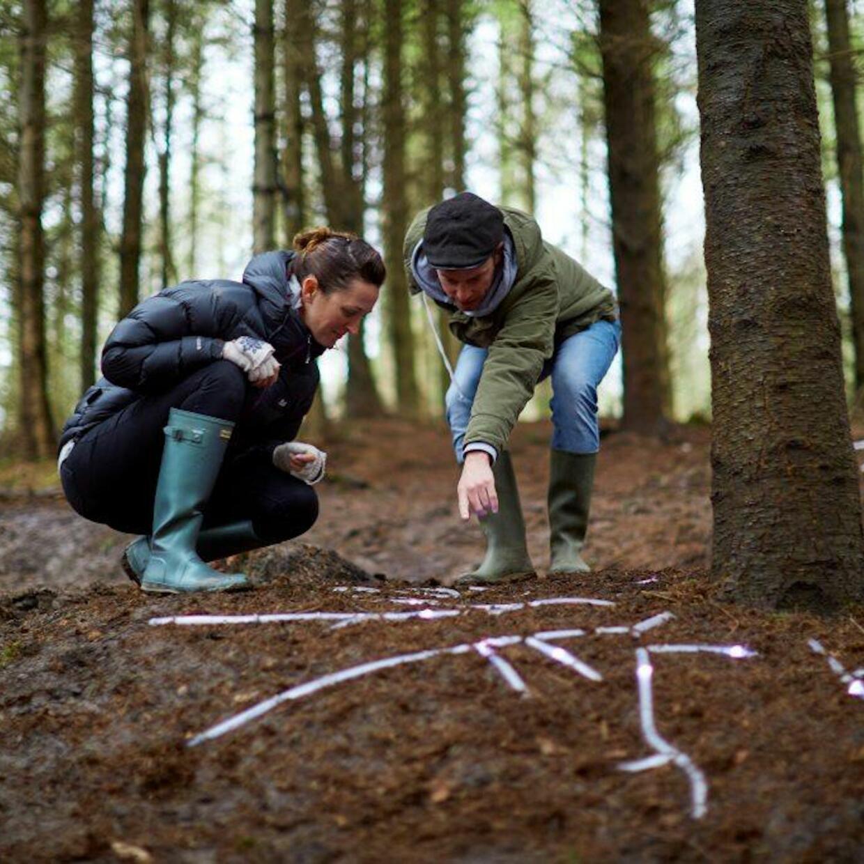 Sentient Forest - The Forest Of Dean Sculpture Trust