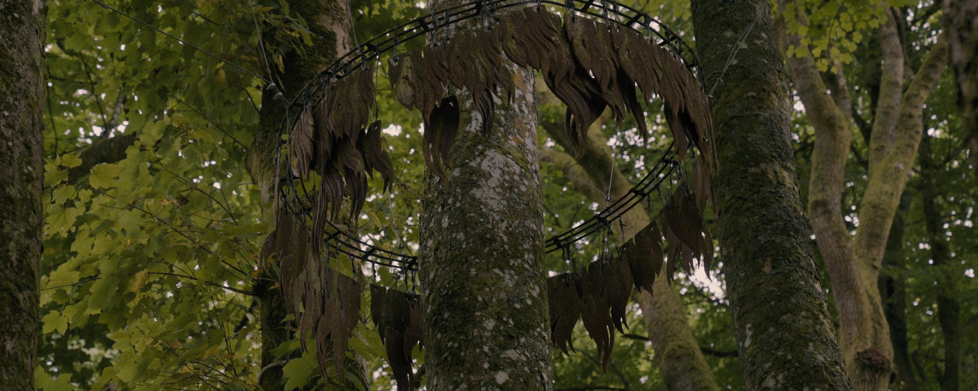 Home - The Forest Of Dean Sculpture Trust
